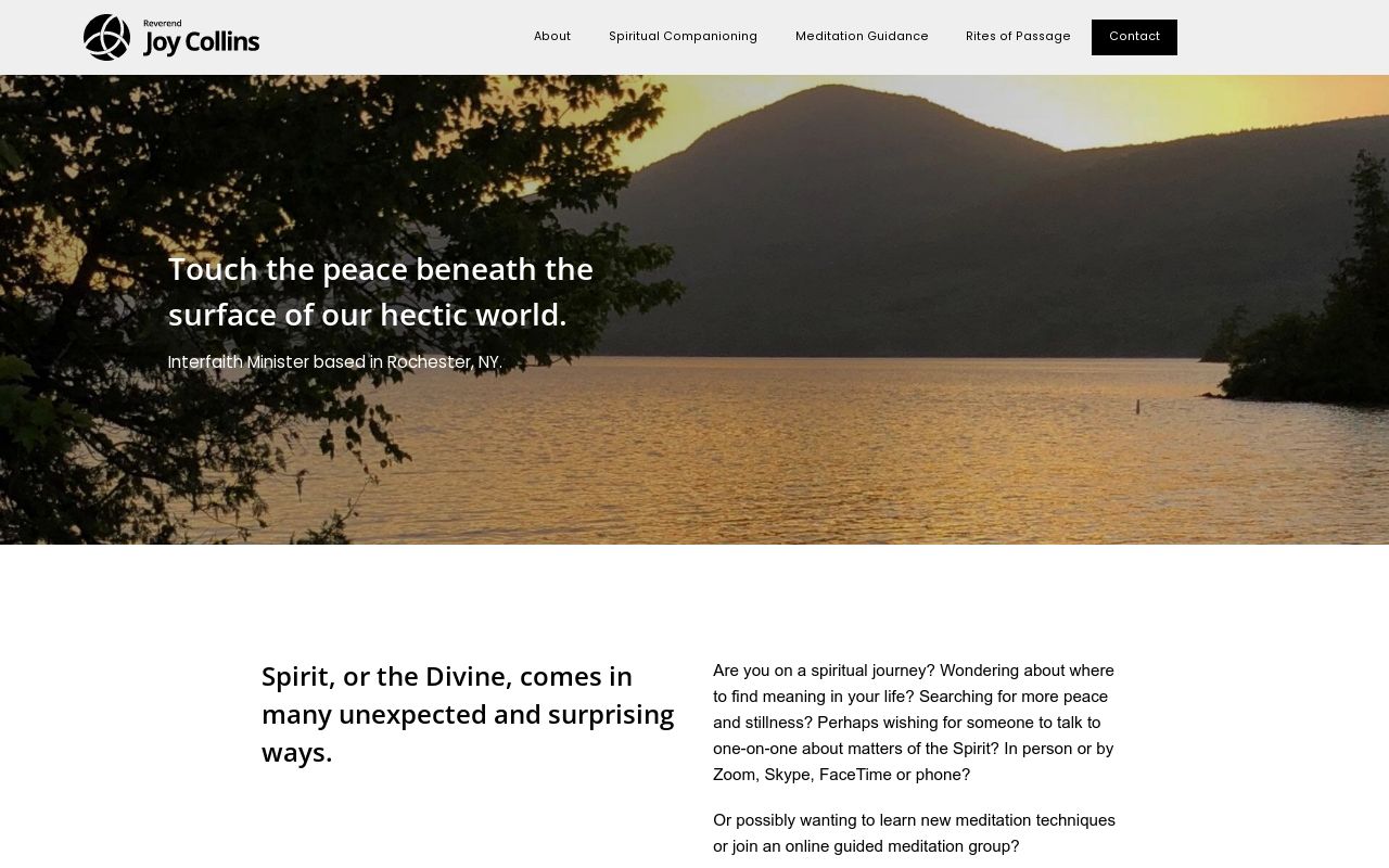 Reverend Joy Collins